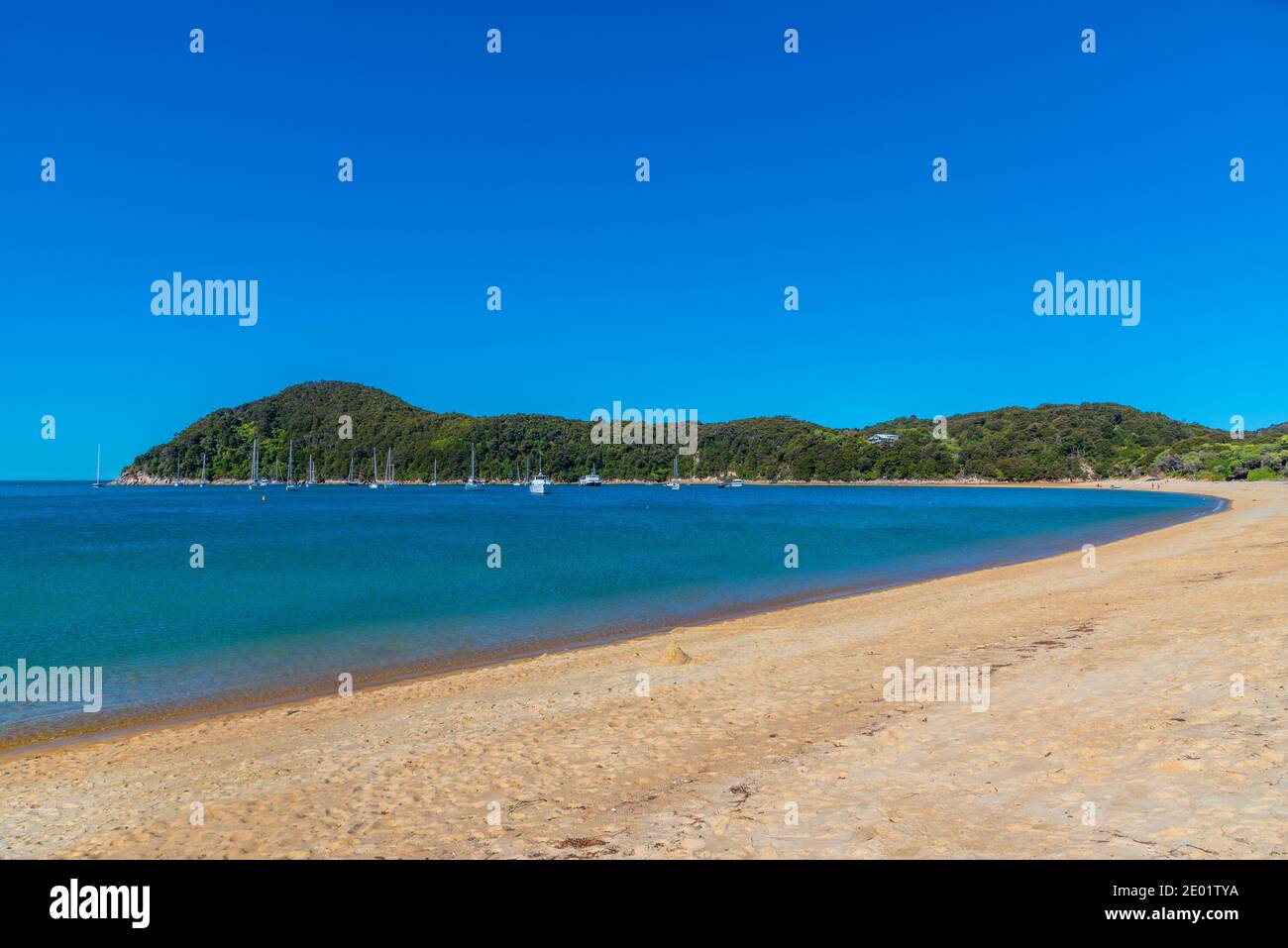 Boats mooring at Torrent bay at Abel Tasman national park in New ...