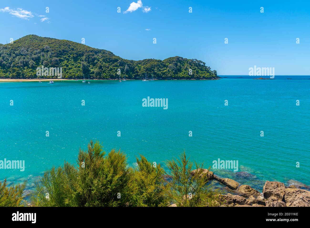 Bark bay at Abel Tasman national park in New Zealand Stock Photo - Alamy