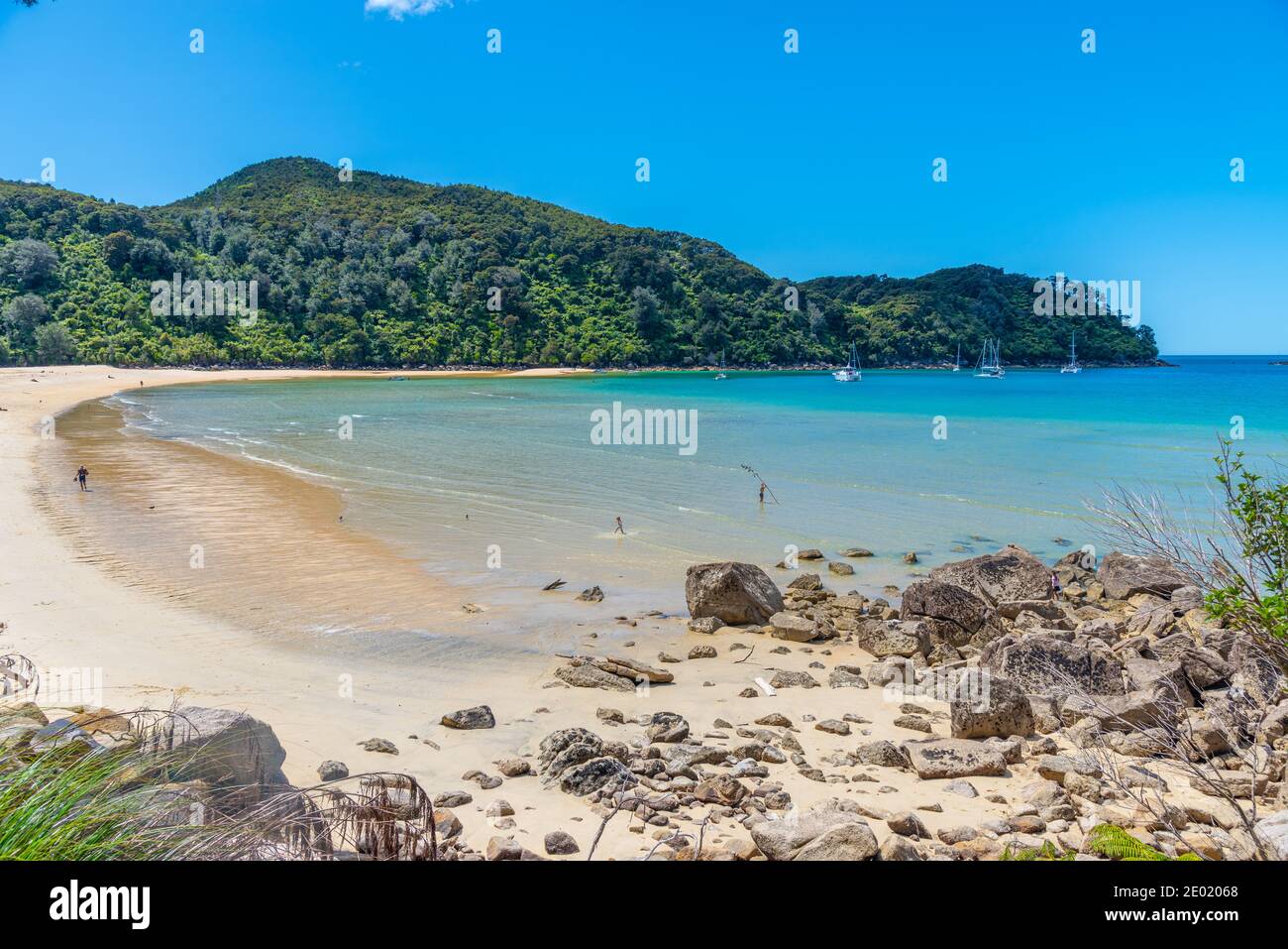 Bark bay at Abel Tasman national park in New Zealand Stock Photo - Alamy