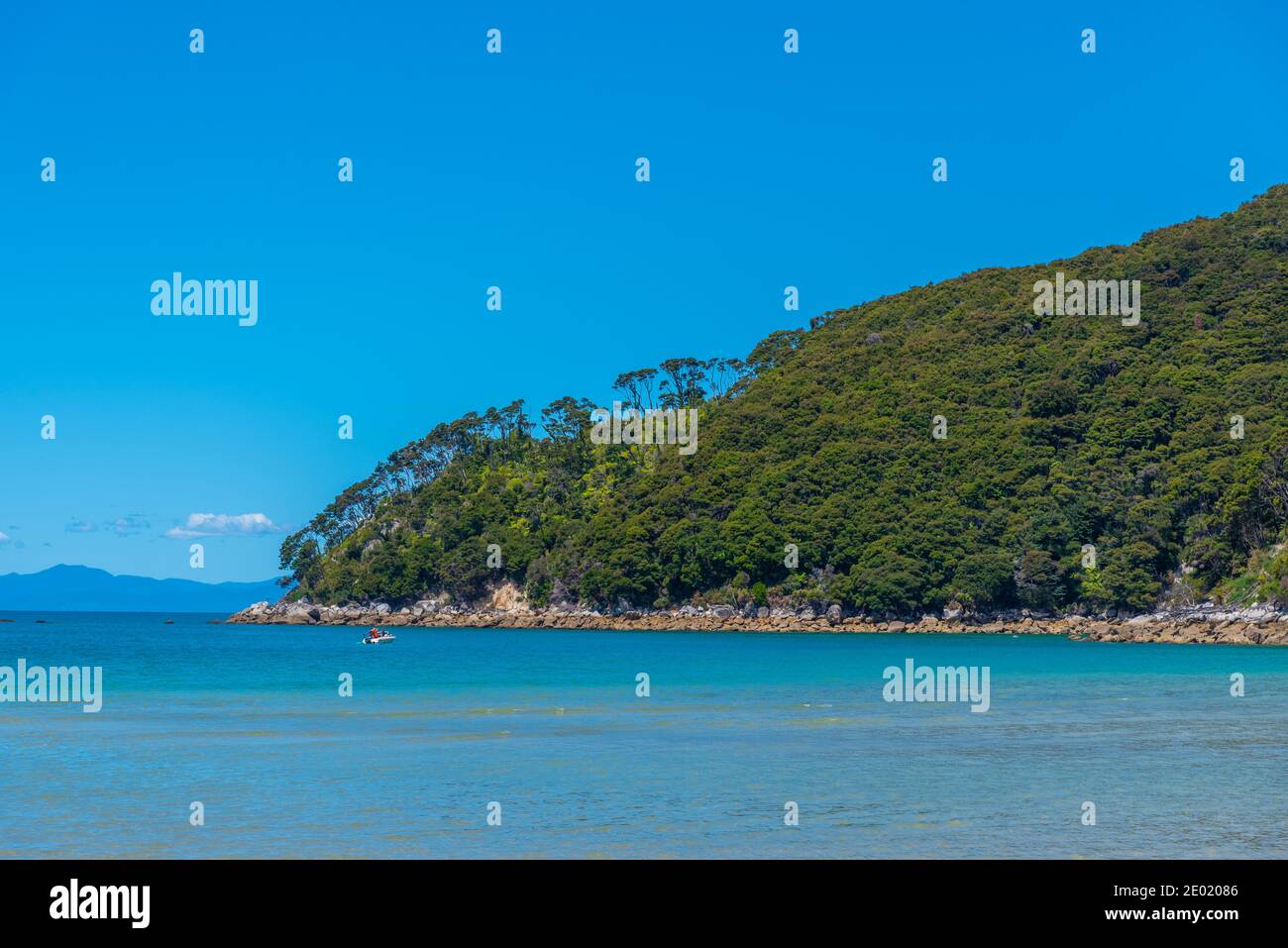 Bark bay at Abel Tasman national park in New Zealand Stock Photo - Alamy