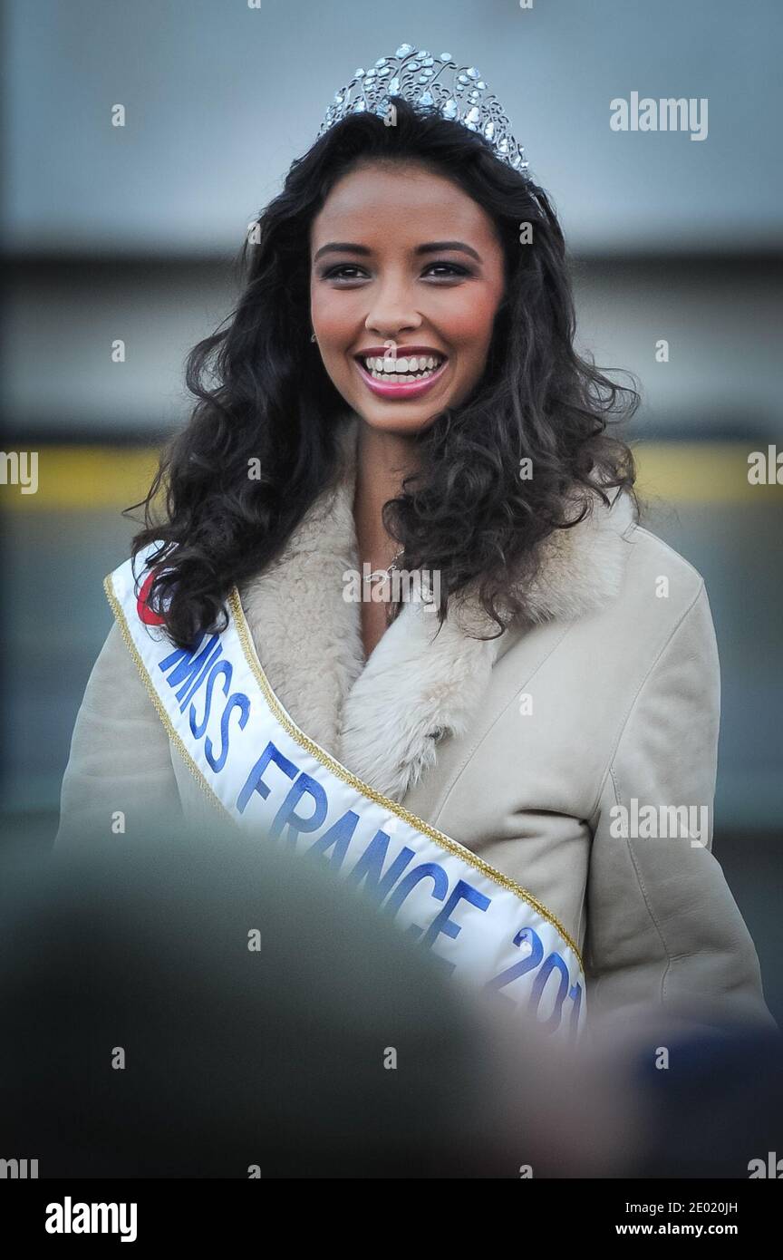 Flora coquerel during hi-res stock photography and images - Alamy