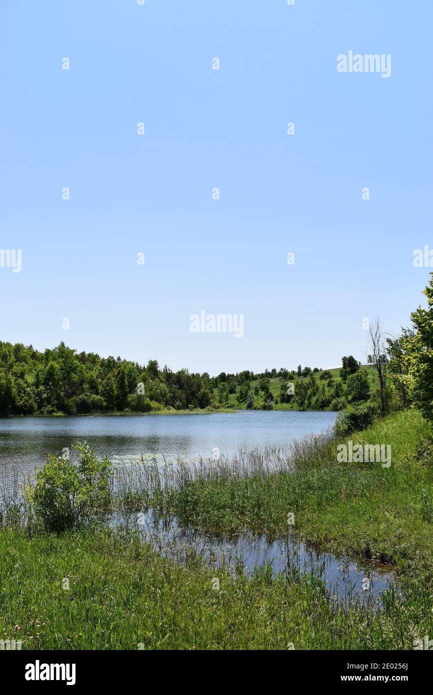 Grassy lake hi-res stock photography and images - Alamy