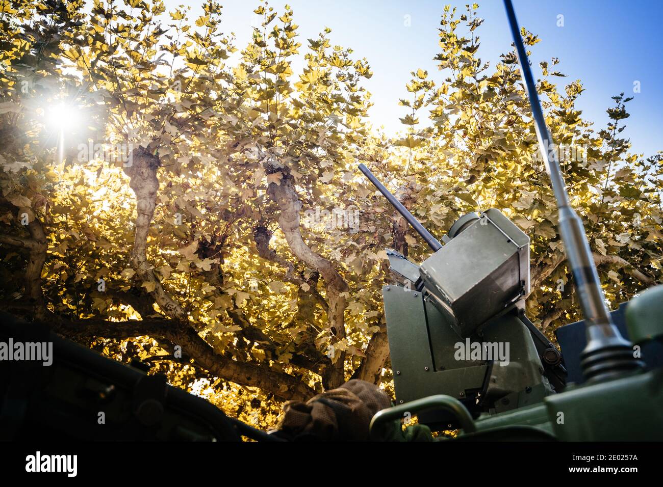Tree transportation war military land vehicle hi-res stock photography ...