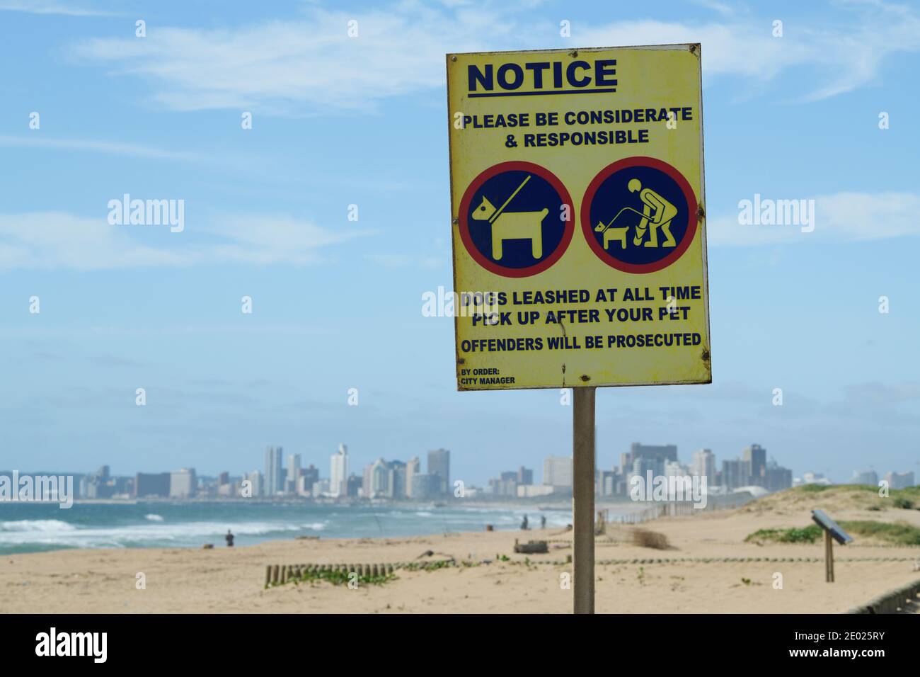 Dog Poop On The Beach