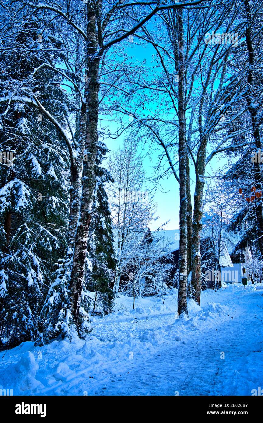 Hinterzarten christmas hi-res stock photography and images - Alamy