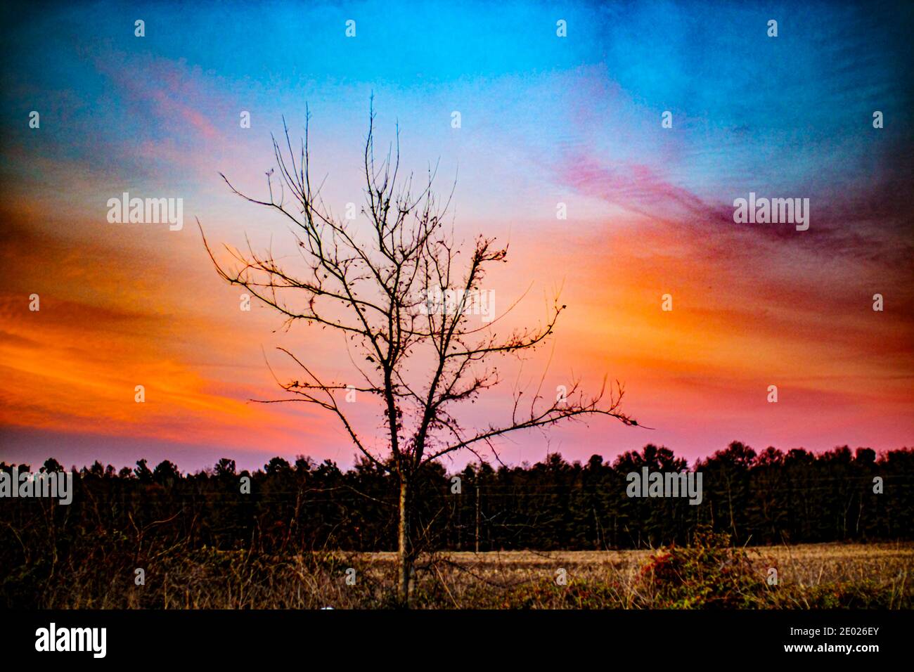 Augusta, Ga USA - 12 11 20: Farm land in the south during golden hour ...