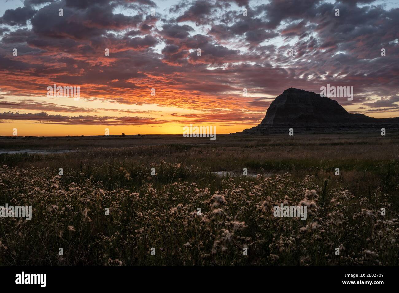 Brilliant Sunrise Light Over Badlands Field in Summer Stock Photo - Alamy