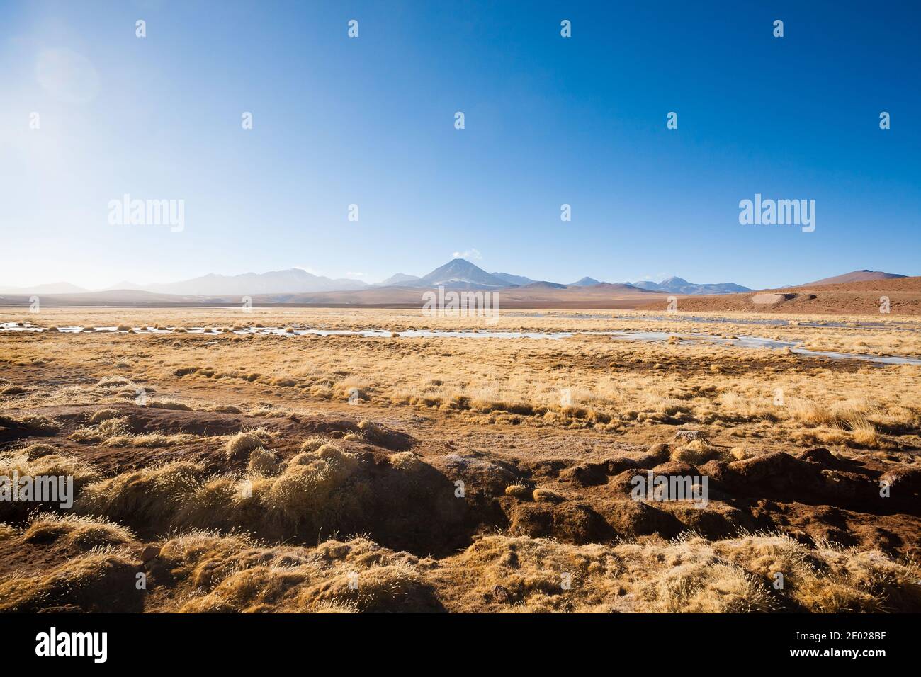 Chilean landscape, lagoon and Licancabur volcano. Chile panorama Stock ...