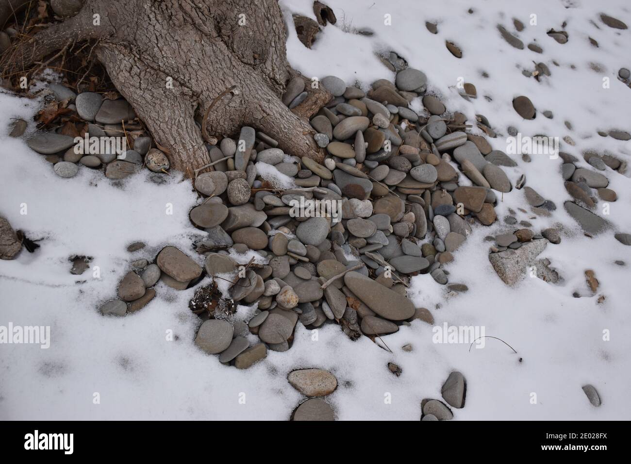 Out at the shingle bar, picking up shingle rocks Stock Photo - Alamy