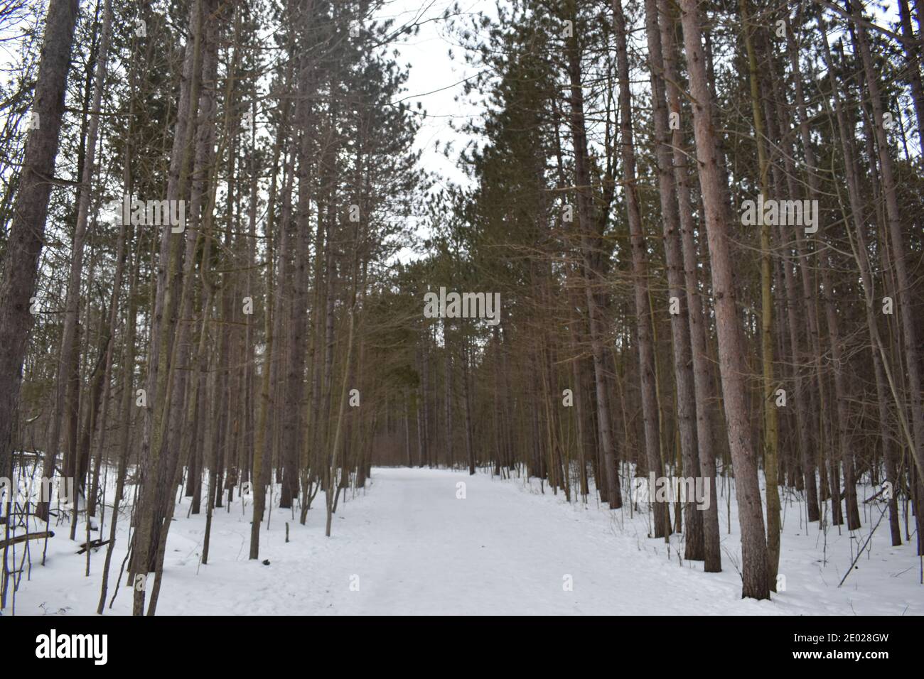 Snowy adventures hi-res stock photography and images - Alamy