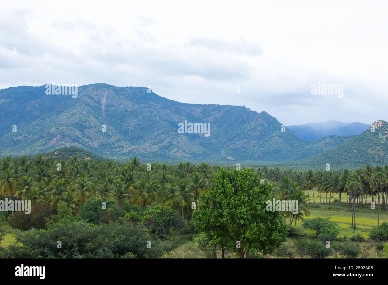 Kurangani hills trekking hi-res stock photography and images - Alamy