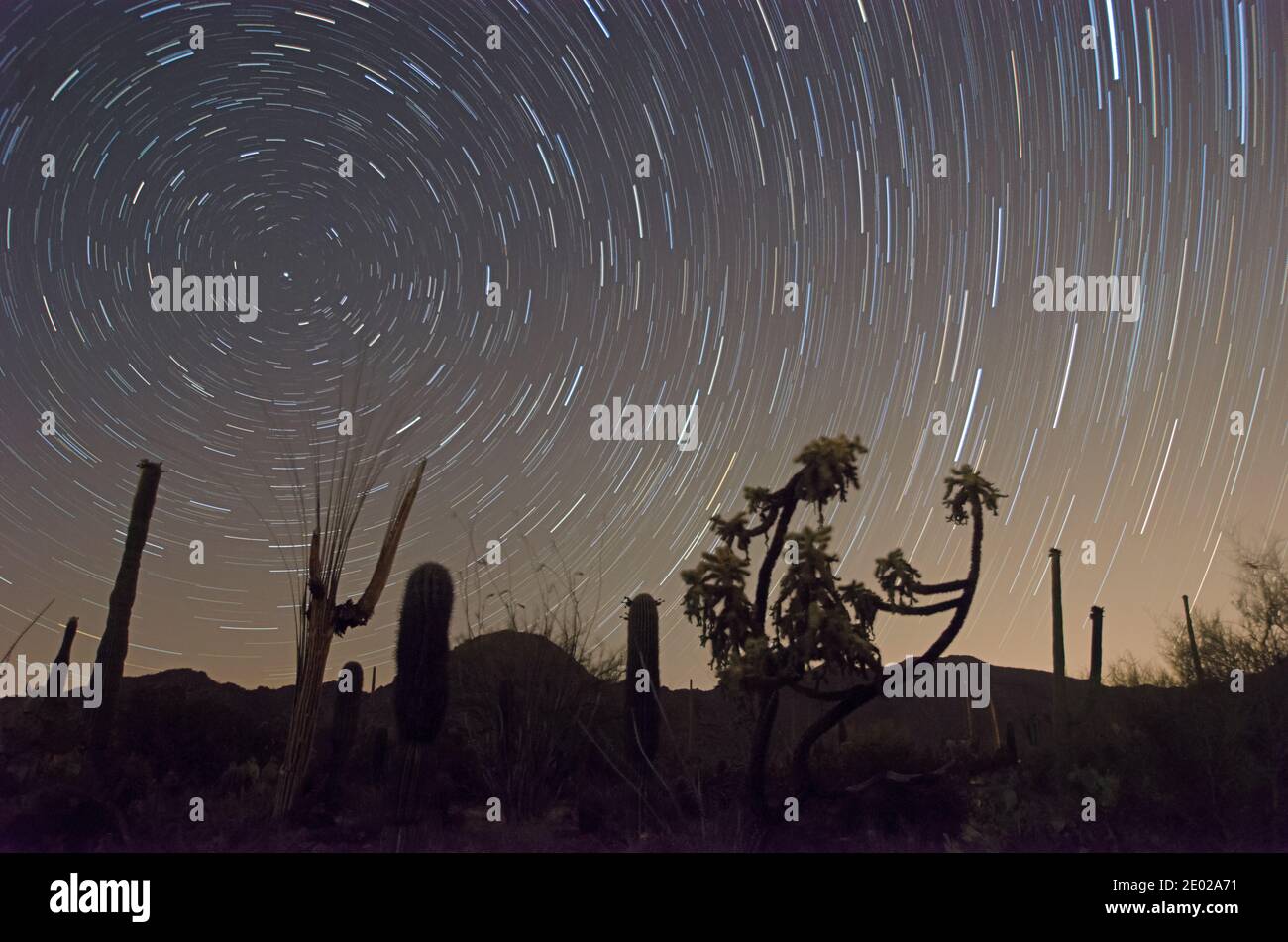 Desert star hi-res stock photography and images - Alamy
