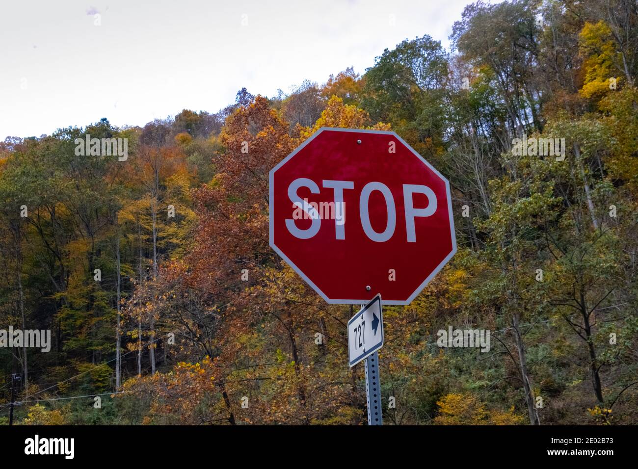 Stop Sign Autumn Trees with Colorful Leaves in Virginia Stock Photo - Alamy