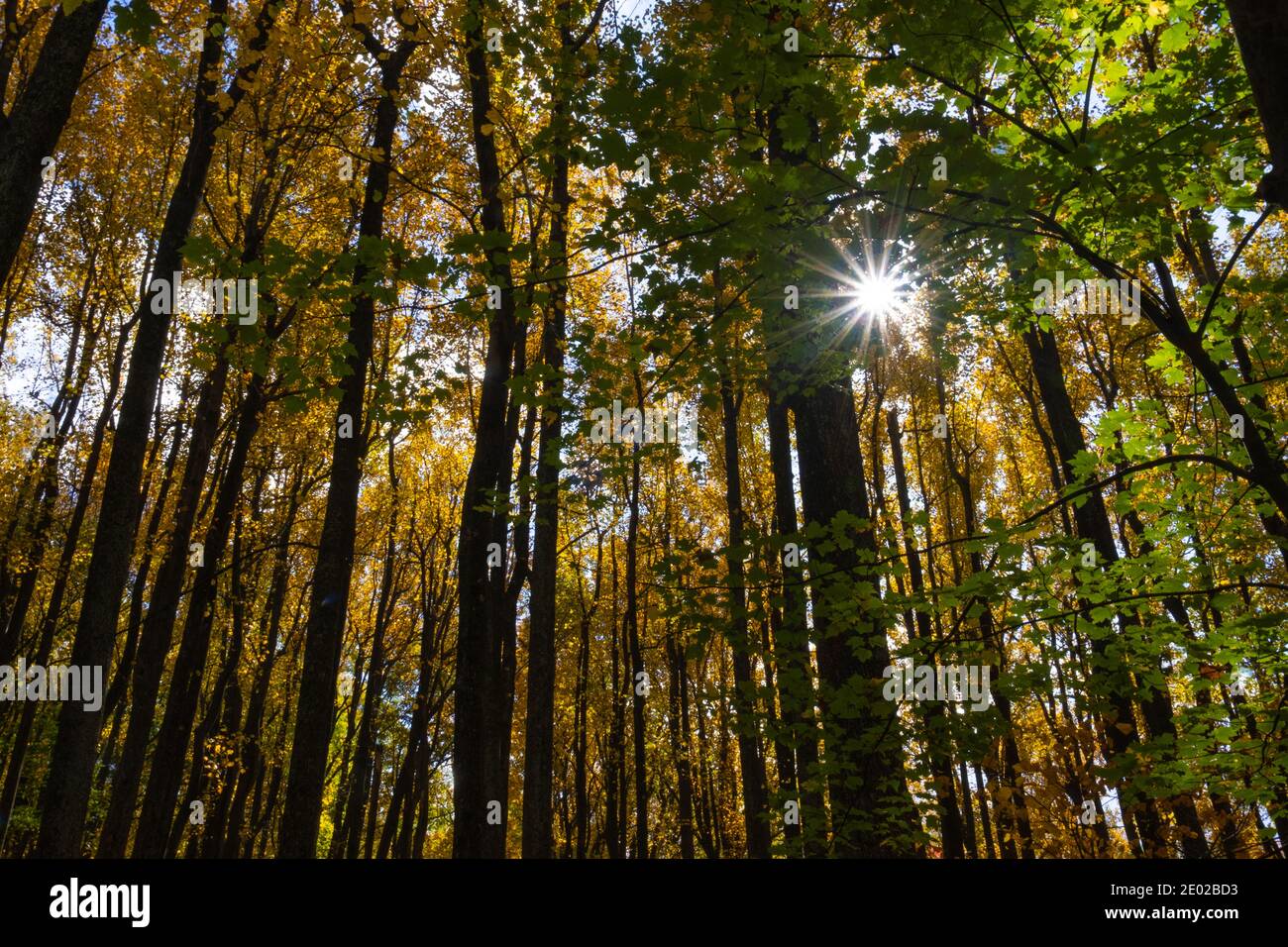 Fall sunburst hi-res stock photography and images - Alamy