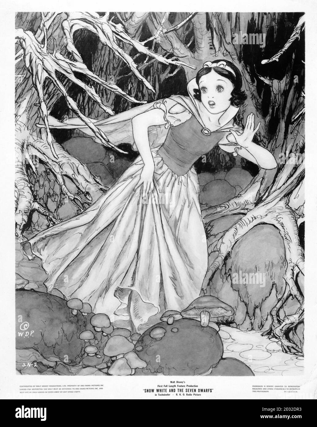 WALT DISNEY's SNOW WHITE AND THE SEVEN DWARFS 1937 supervising director ...