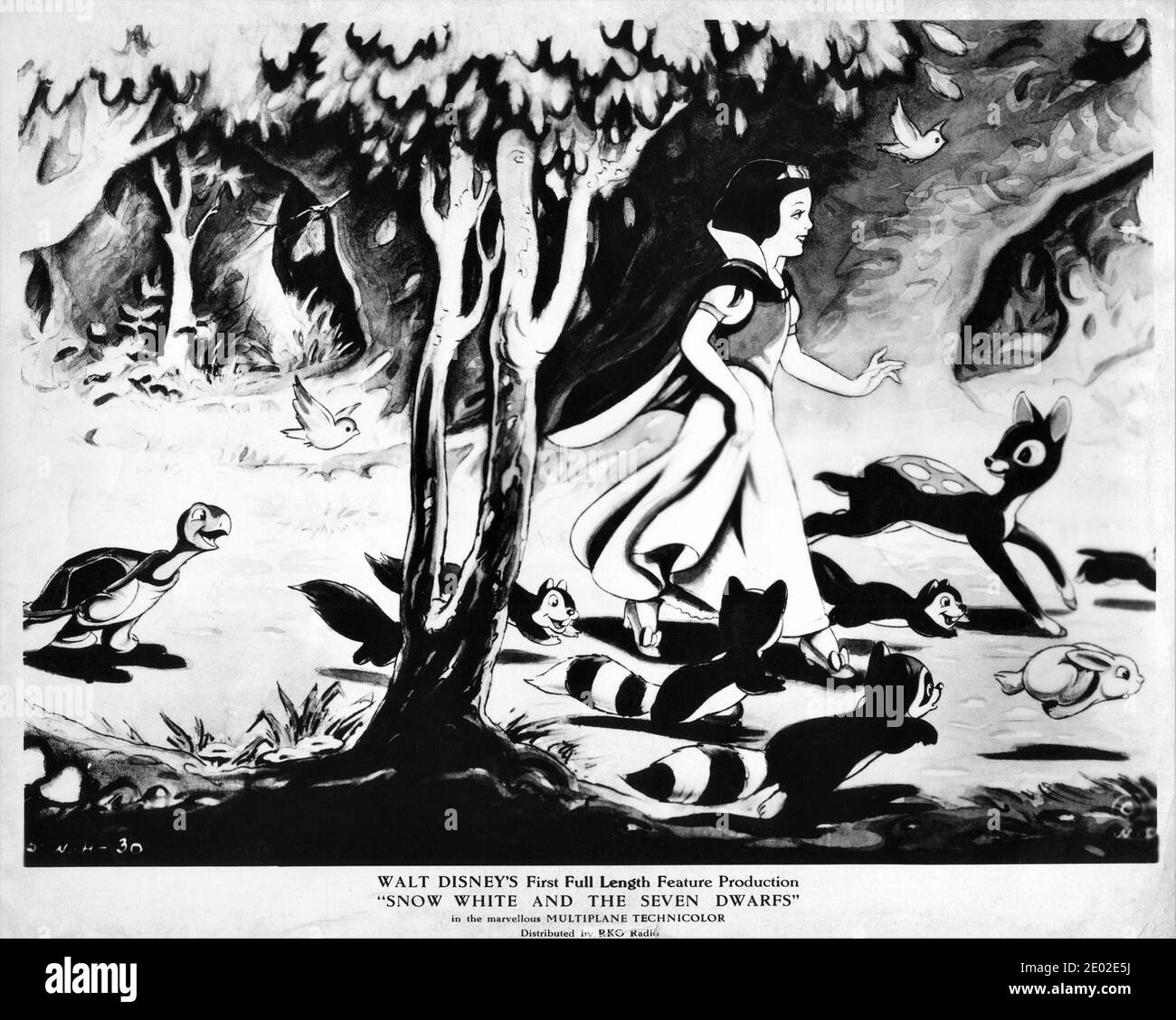 WALT DISNEY's SNOW WHITE AND THE SEVEN DWARFS 1937 supervising director ...