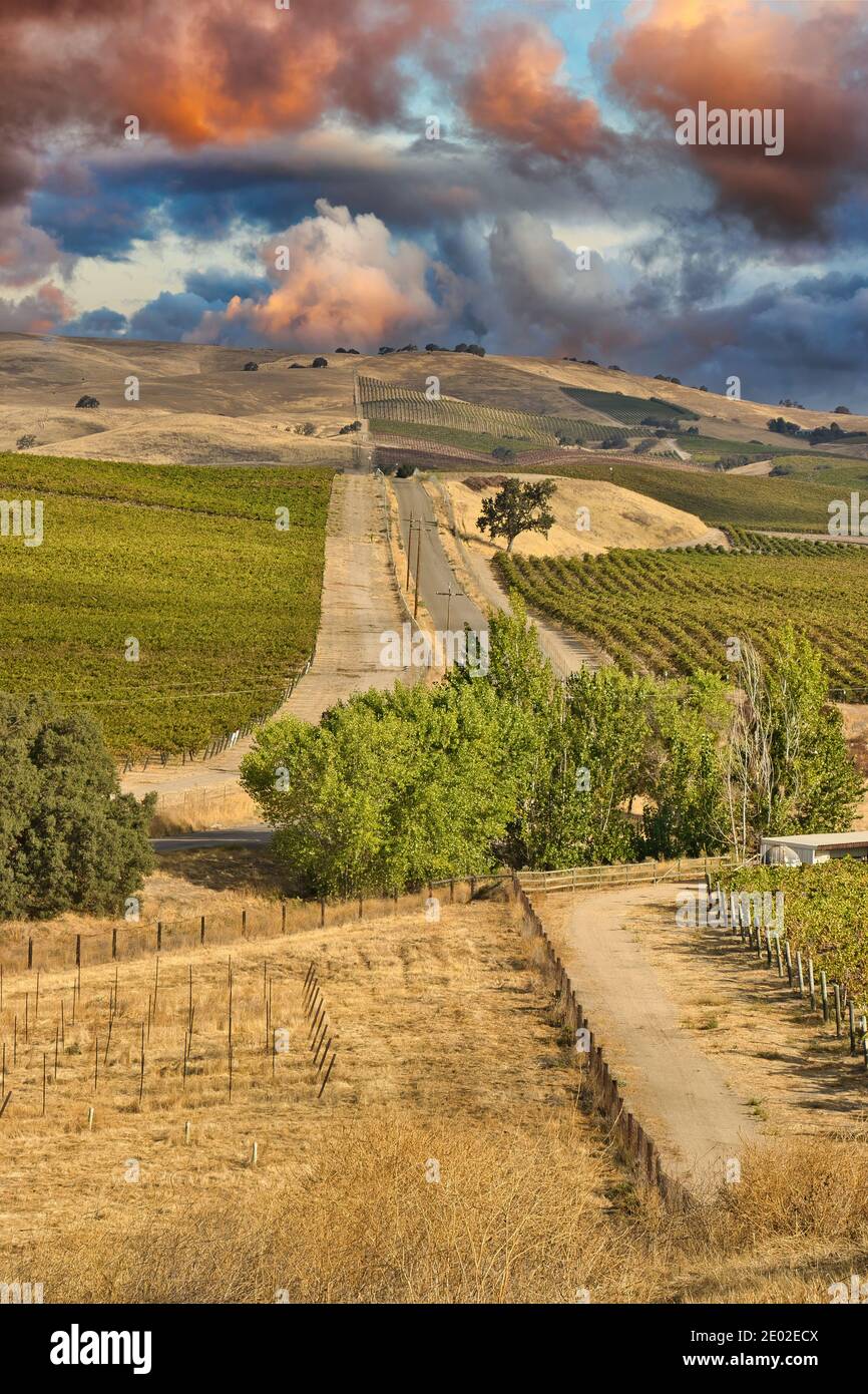 Paso robles california hi-res stock photography and images - Alamy