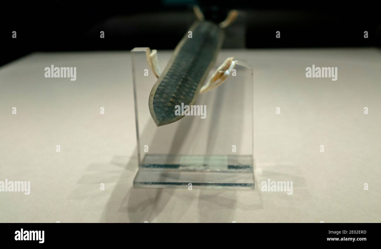 Sword of goujian hi-res stock photography and images - Alamy
