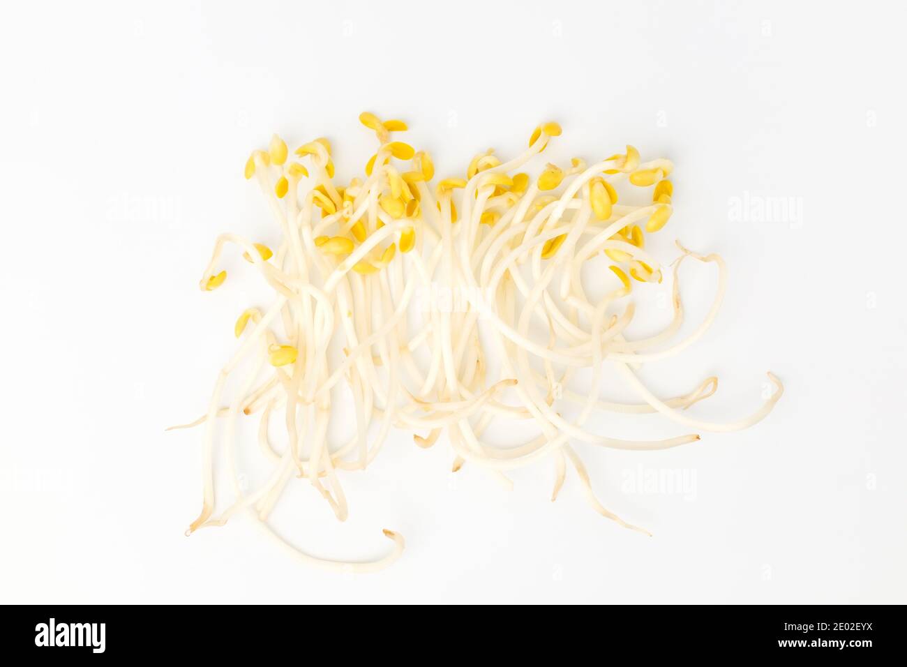 Yellow sprouts on white background Stock Photo - Alamy