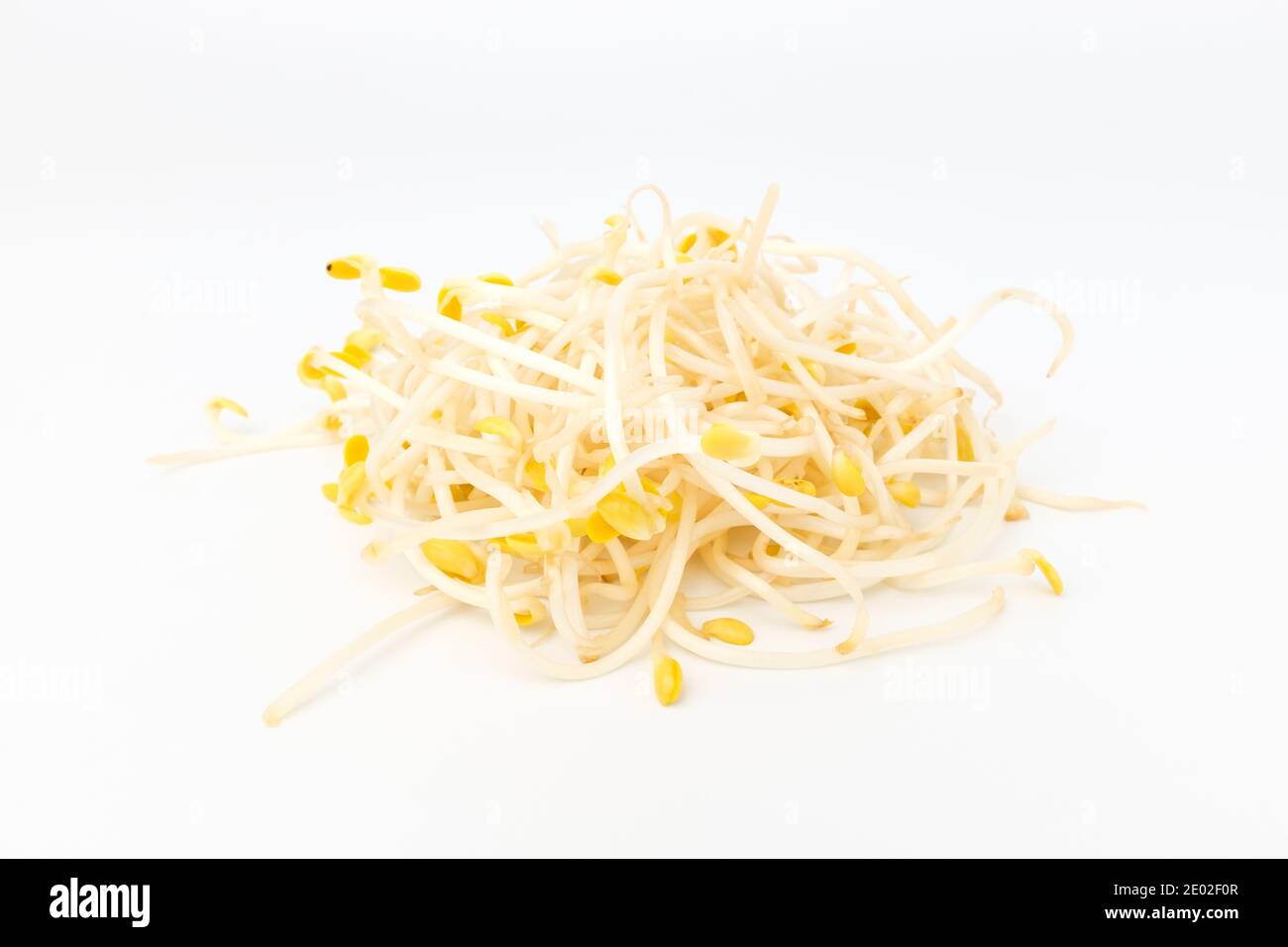 Close up sprouts on Cut Out Stock Images & Pictures - Alamy