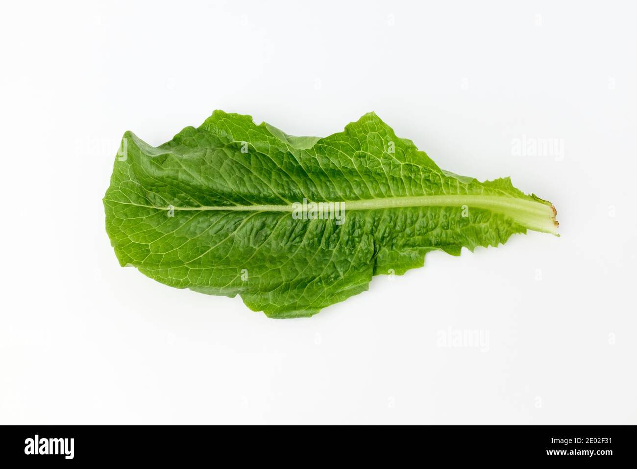 Romans food hi-res stock photography and images - Alamy