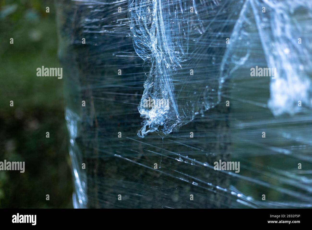 Plastic bag stuck in tree hi-res stock photography and images - Alamy