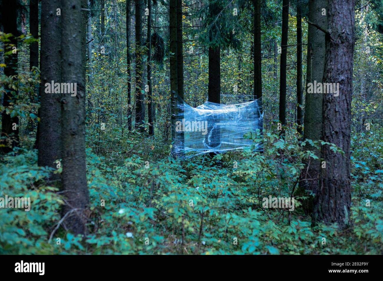 Plastic wrap on trees in the forest Stock Photo - Alamy