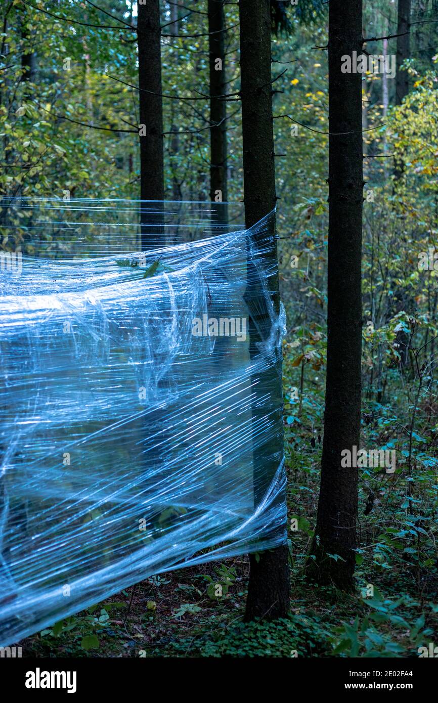 Plastic wrap on trees in the forest Stock Photo - Alamy