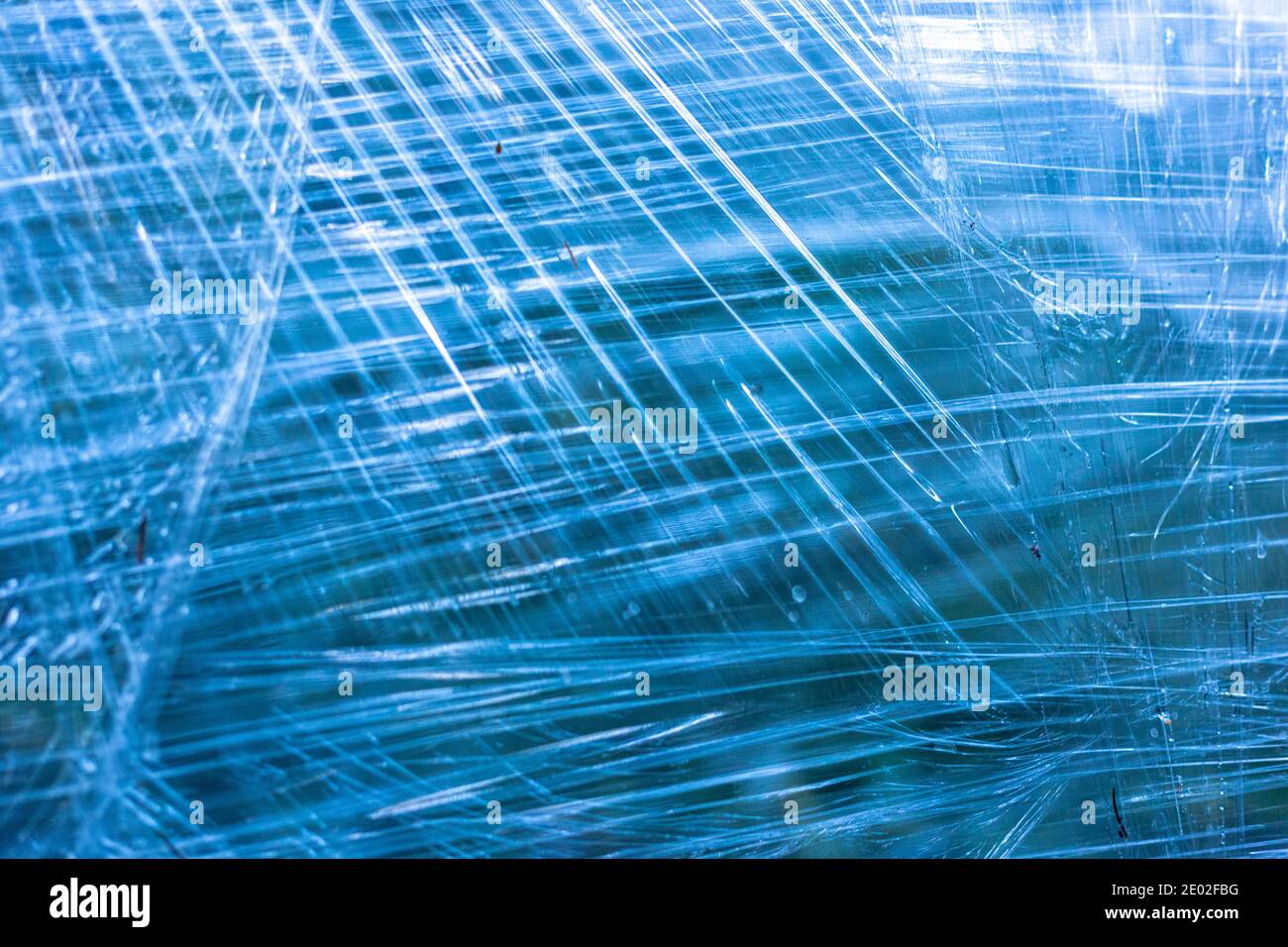 Plastic wrap on trees in the forest Stock Photo - Alamy
