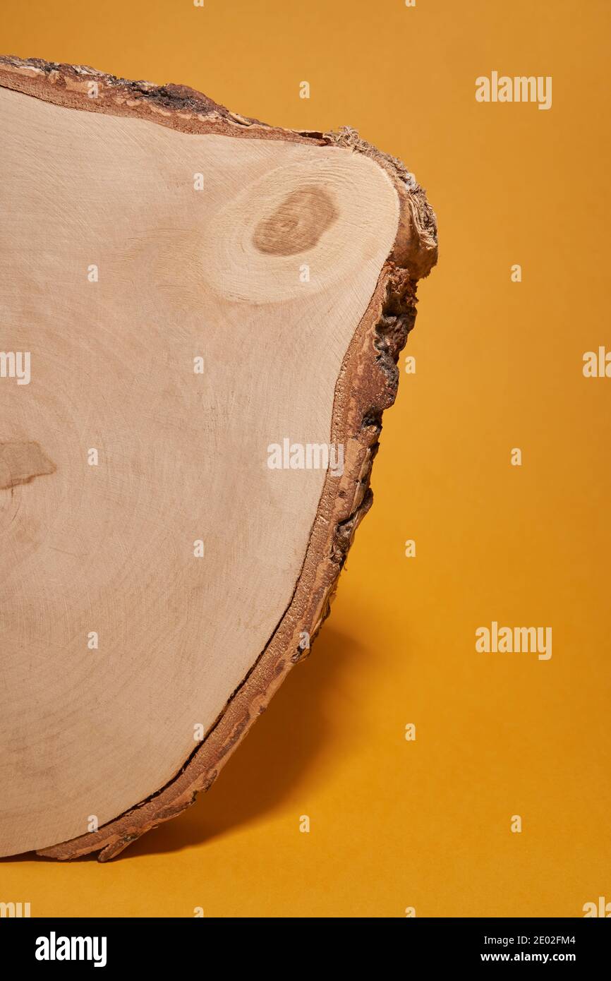Cut birch texture on a bright yellow background, natural materials ...