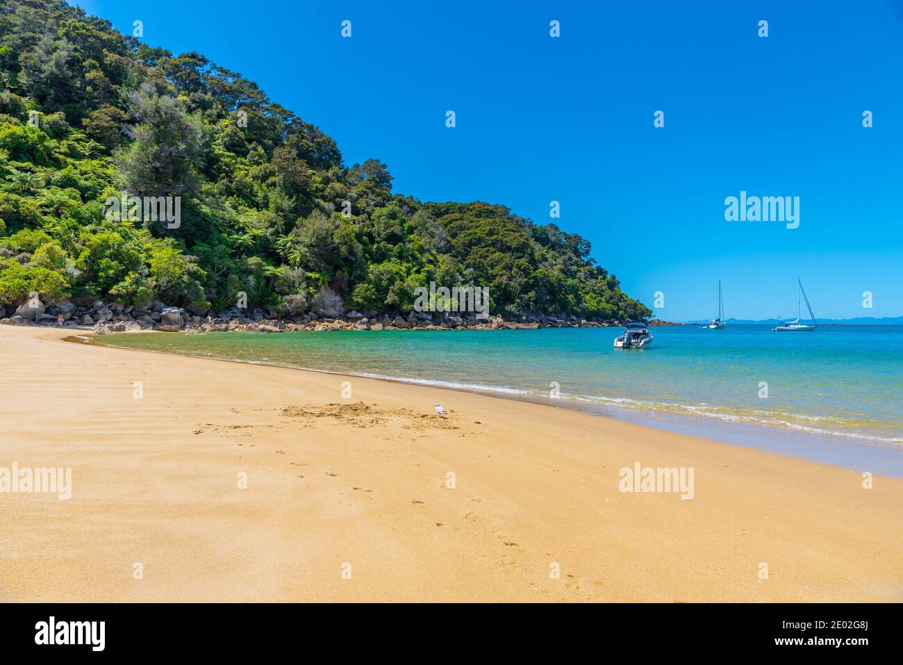 Boats mooring at Bark bay at Abel Tasman national park in New Zealand ...