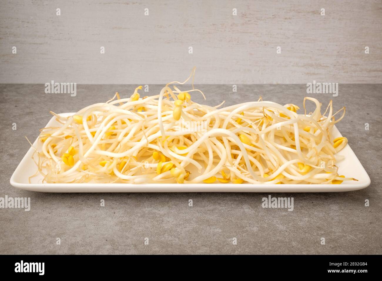 Yellow sprouts on white background Stock Photo - Alamy