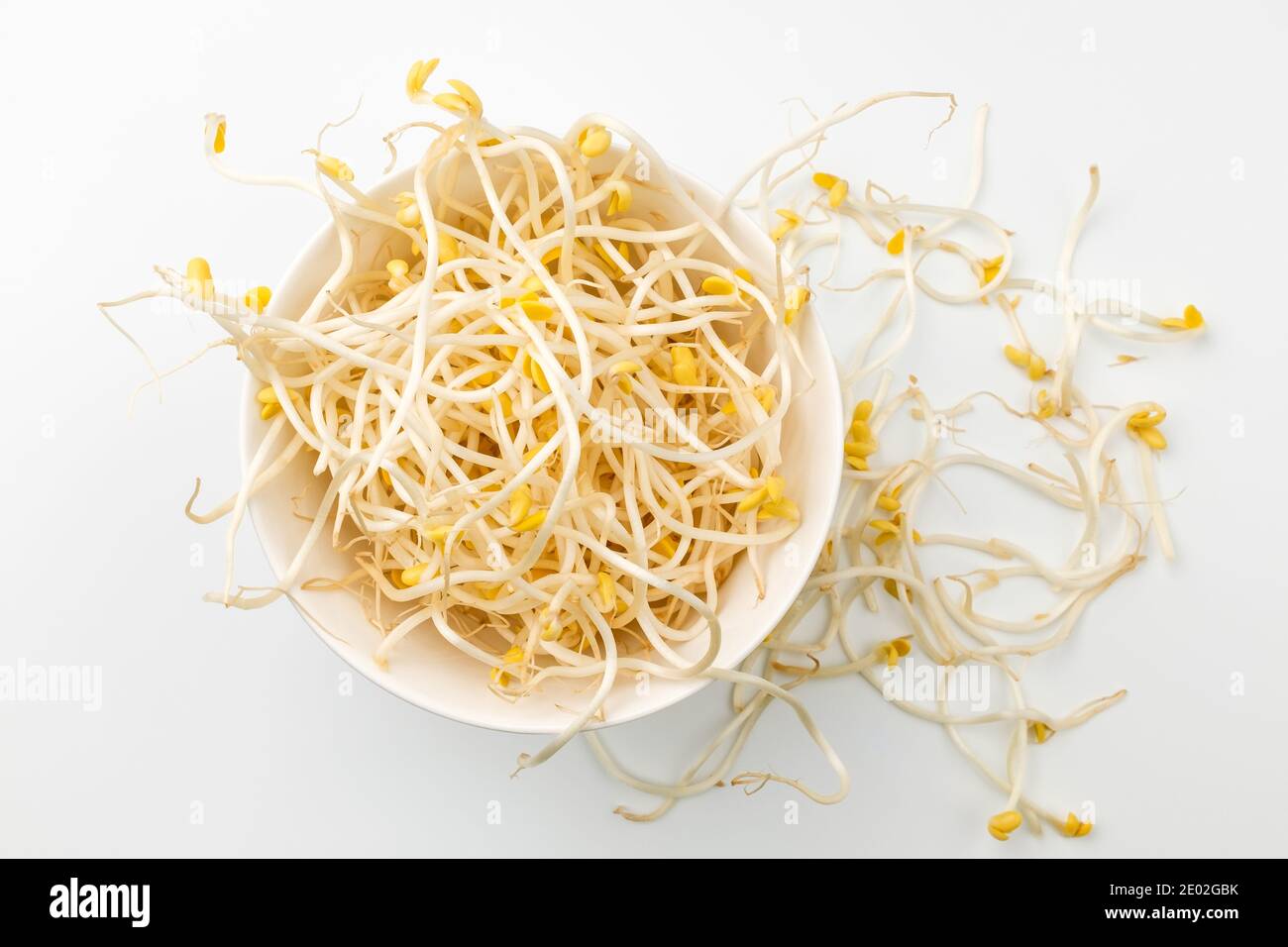 Yellow sprouts on white background Stock Photo - Alamy