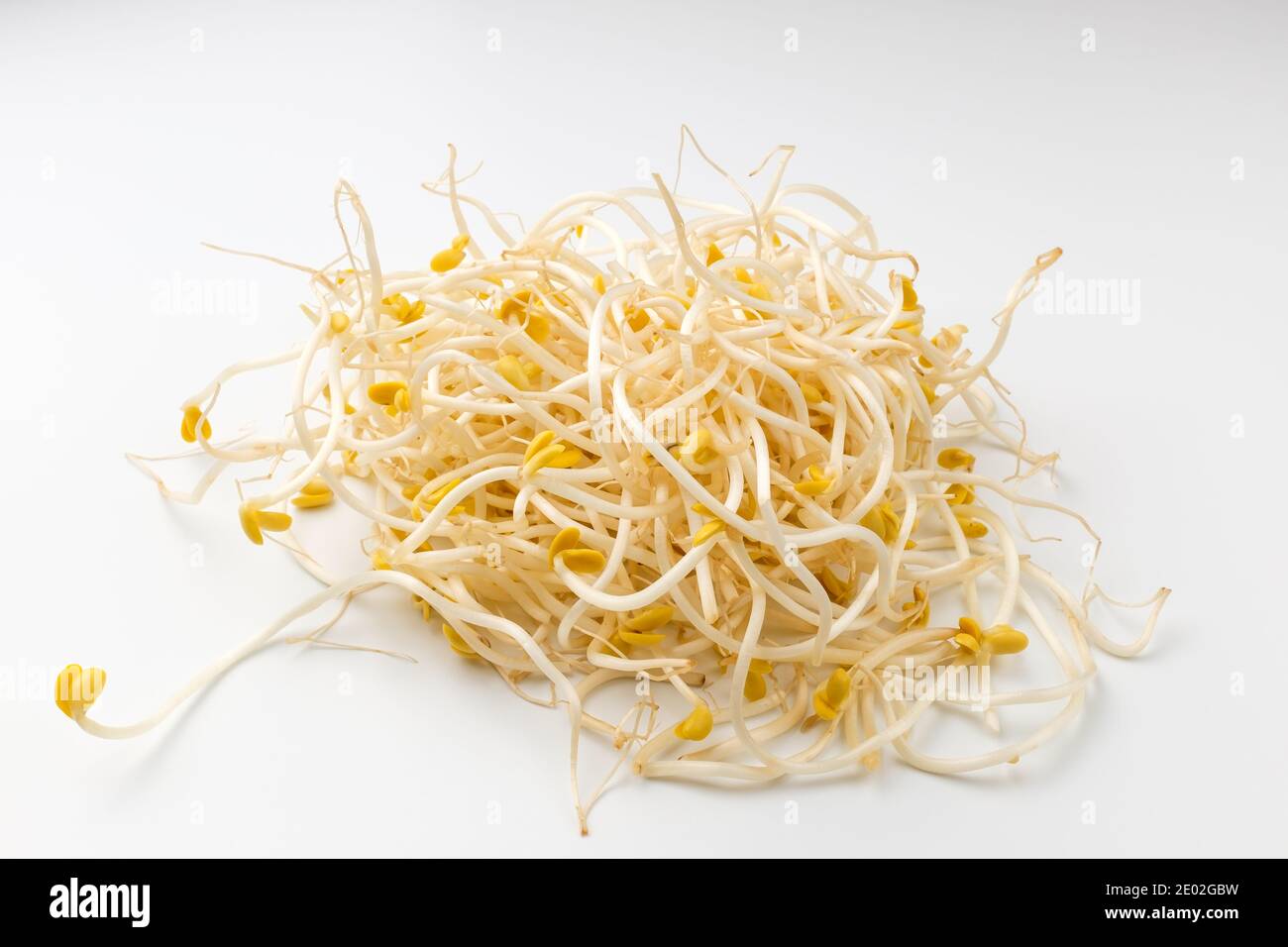Yellow sprouts on white background Stock Photo - Alamy