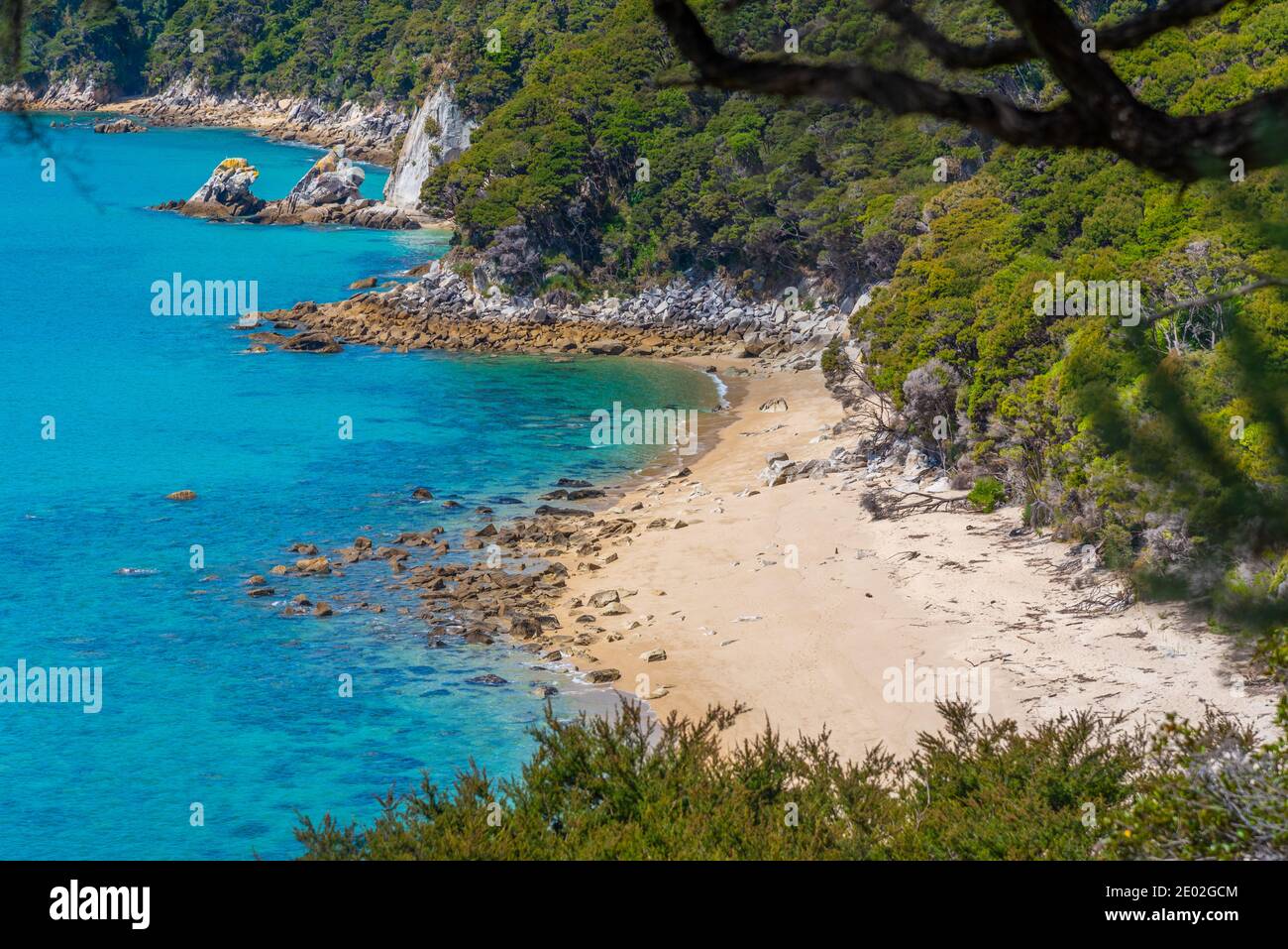 Tonga quarry campsite beach at Abel Tasman national park in New Zealand ...