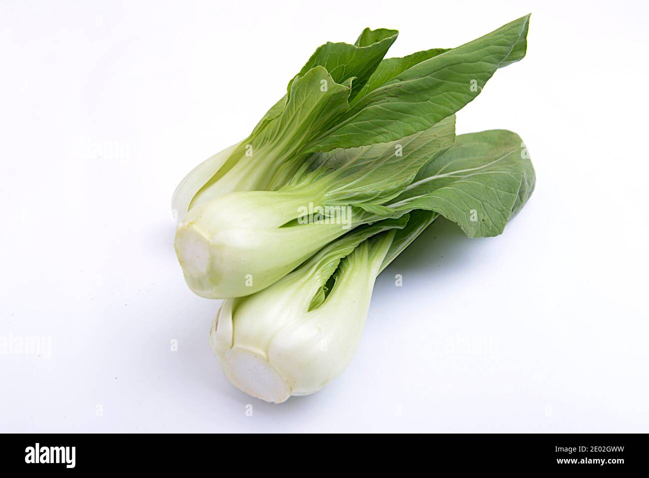 Mustard pakcoy or bok choy isolated over white background Stock Photo ...