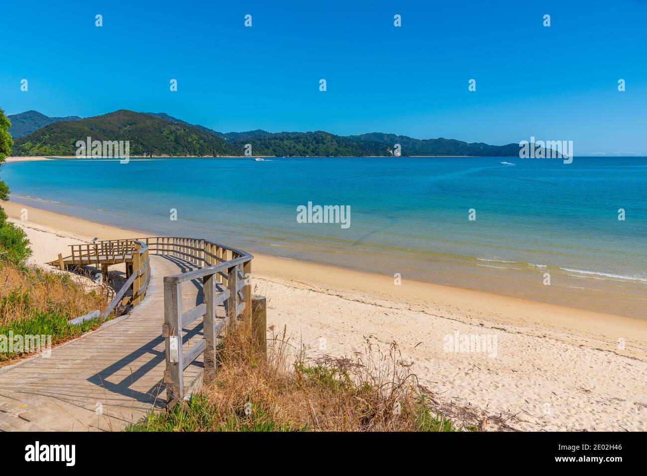 Awaroa beach at Abel Tasman national park in New Zealand Stock Photo ...