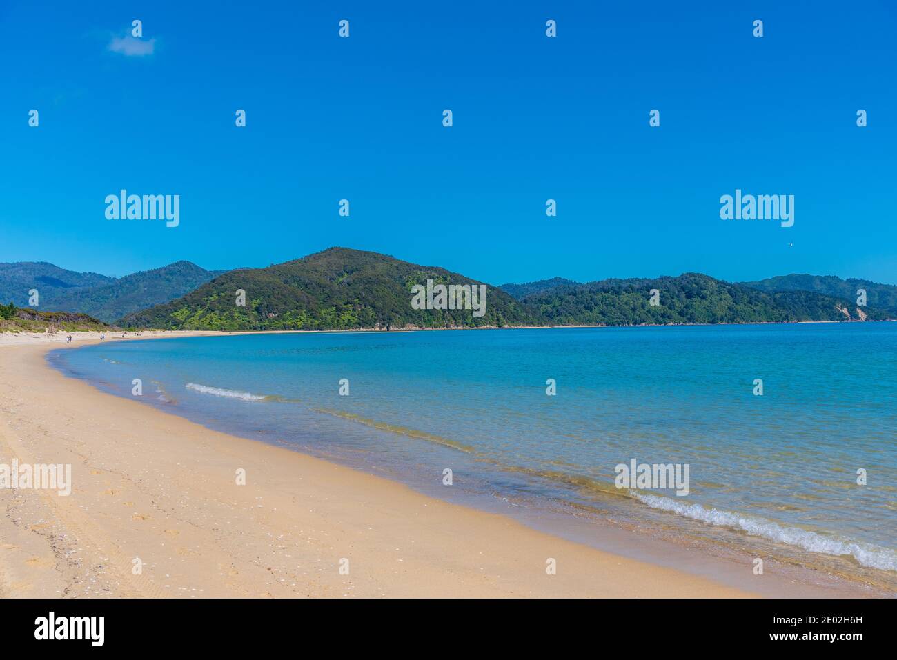 Awaroa beach at Abel Tasman national park in New Zealand Stock Photo ...