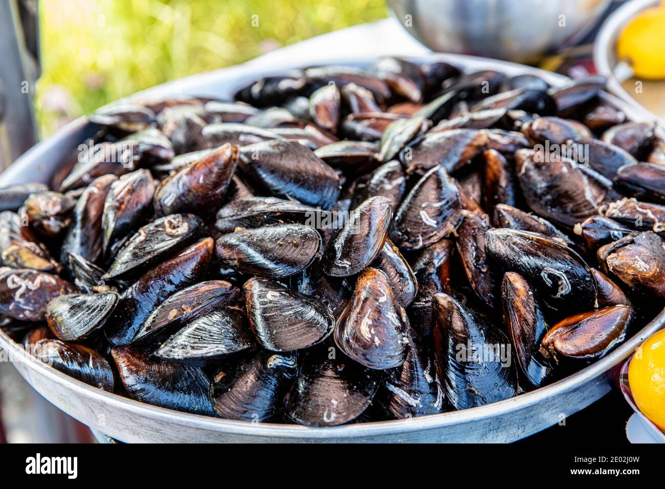Cooked Mussels. Mussels in lemon sauce. Sea products. Mussel shop ...