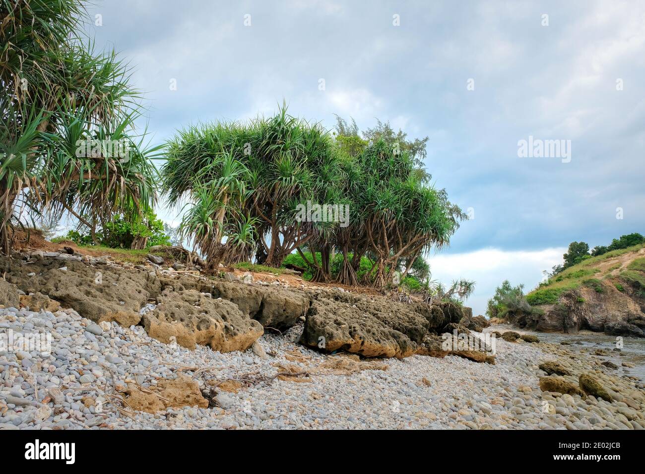 Pandan island hi-res stock photography and images - Alamy
