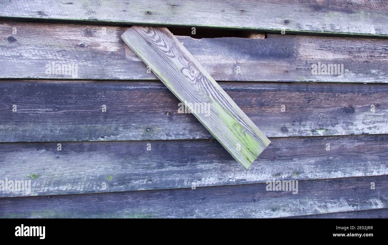 Broken garden fence panel hi-res stock photography and images - Alamy