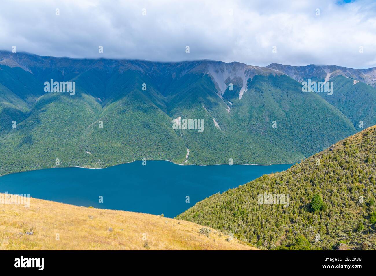 Panorama of lake Rotoiti in New Zealand Stock Photo - Alamy
