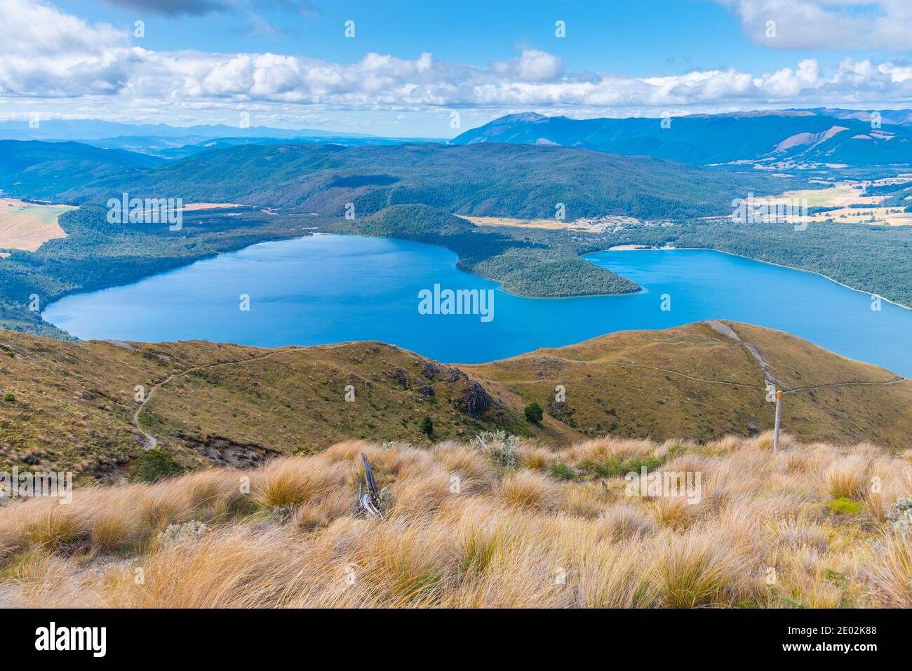 Panorama of lake Rotoiti in New Zealand Stock Photo - Alamy
