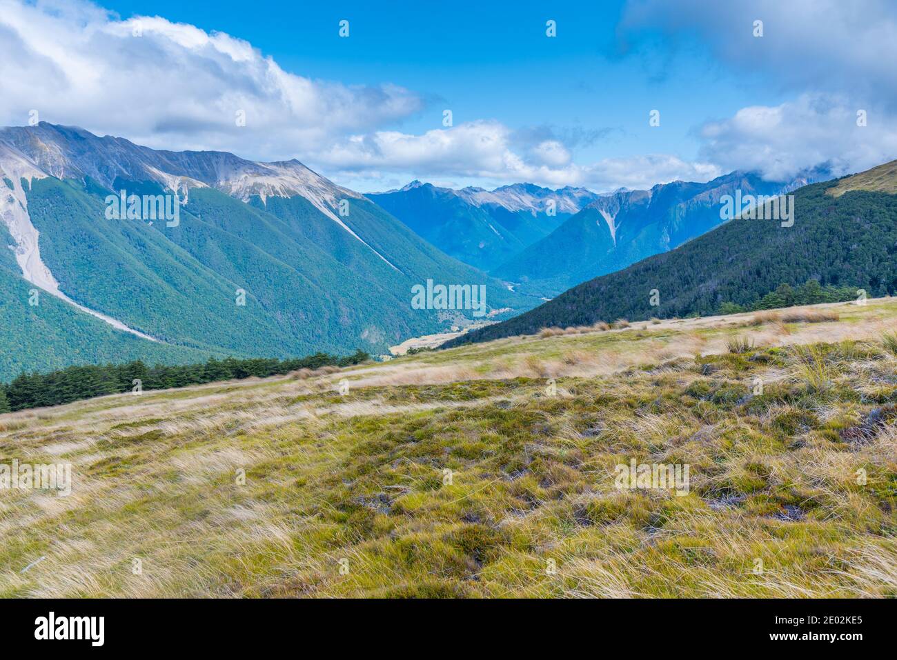 Nelson lakes national park in New Zealand Stock Photo - Alamy