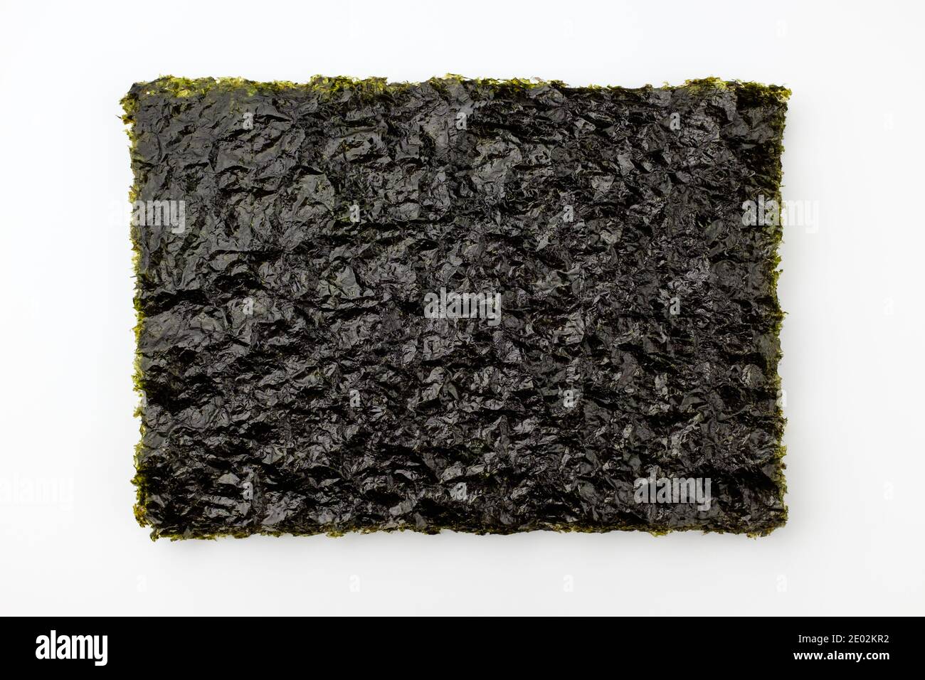 Green Blue seaweed on a white background Stock Photo - Alamy