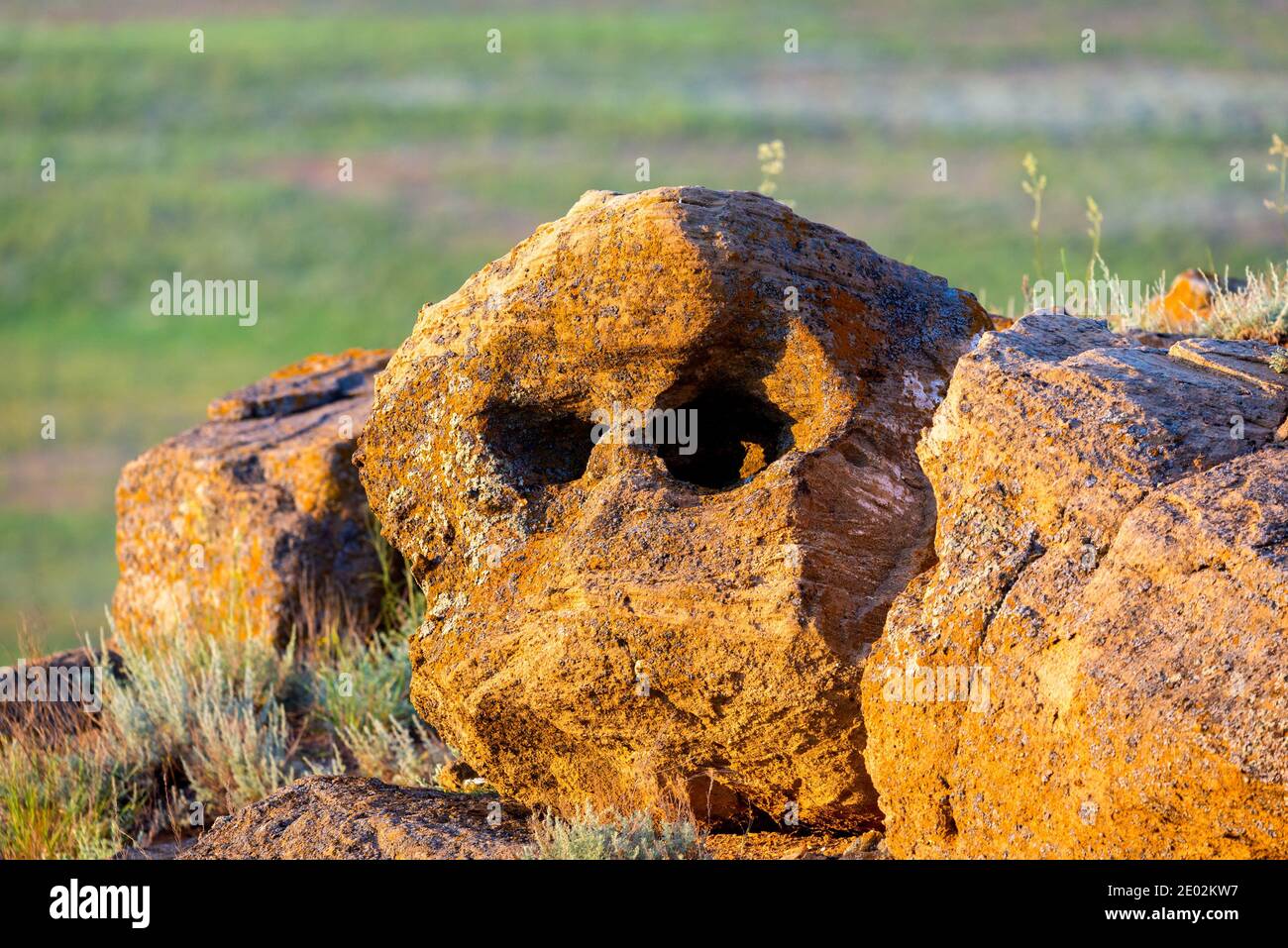 Skull rock nature trail hi-res stock photography and images - Alamy