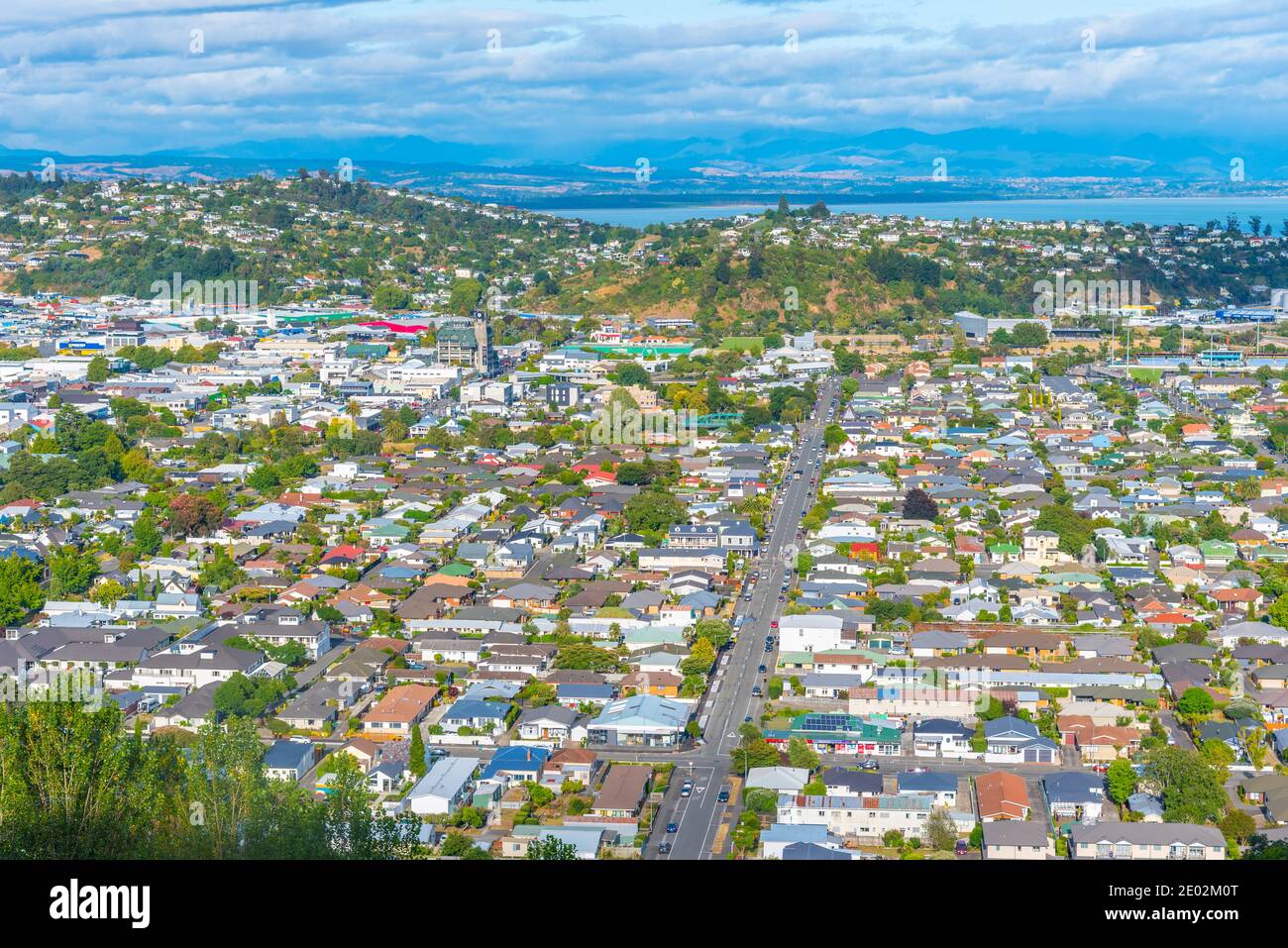 Aerial view of downtown Nelson in New Zealand Stock Photo - Alamy