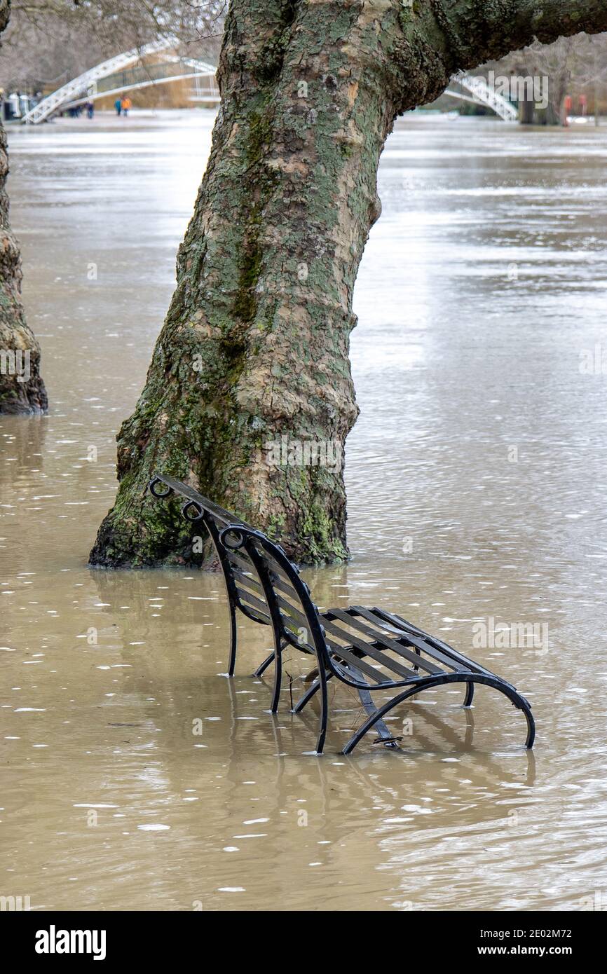 Trees and park bench surrounded by water due to flooding of River Great ...