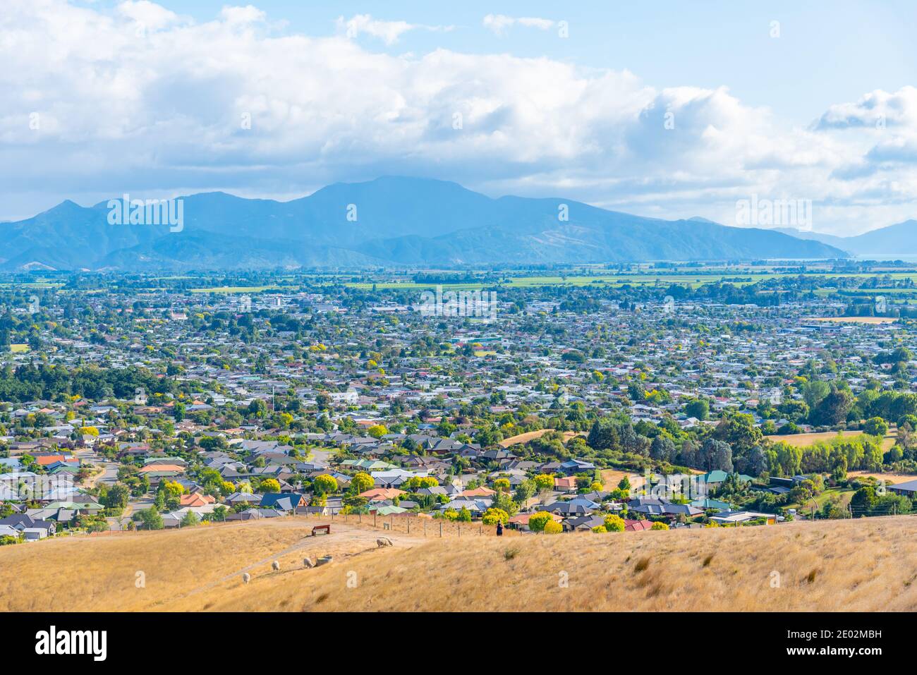 Aerial view of Blenheim in New Zealand Stock Photo - Alamy