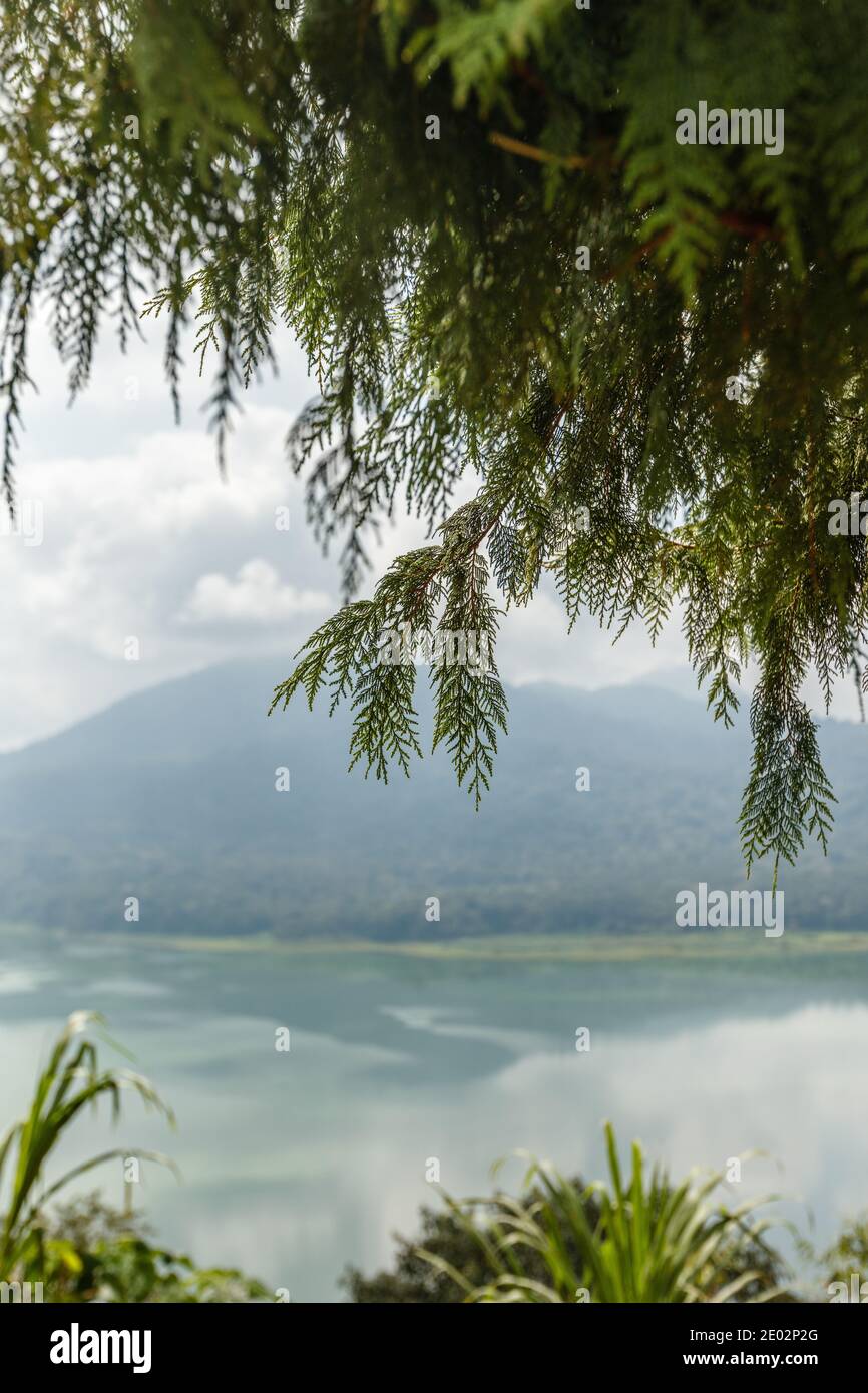 View of Tamblingan lake (Danau Tamblingan) from the top. Buleleng, Bali ...